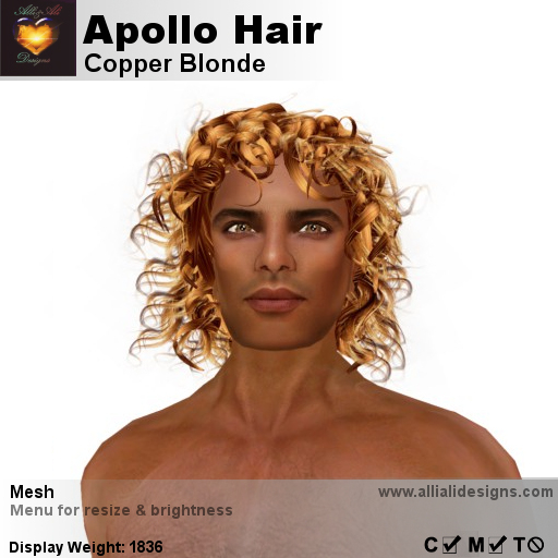 Second Life Marketplace - A&A Apollo Hair Copper Blonde V2, curly low complexity men's mesh hair ...